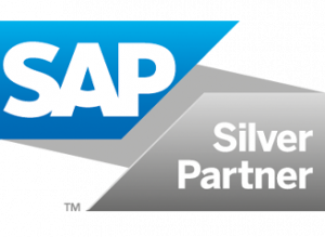 Turkey e-Invoice - GIB Compliant SAP Solution - SNI